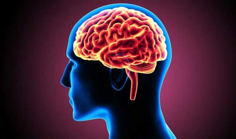 Matcha Tee: Wirkung, Zubereitung und 7 gesundheitliche Vorteile [2026]